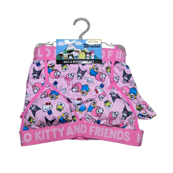 Hello Kitty | Intimates & Sleepwear | Hello Kitty Friends Pink Bra ...
